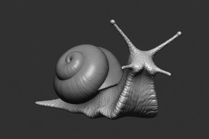 Distribution - 3D Creature Sculpting with Zbrush - Zbrush로 입문하는 3D 크리처 스컬프팅 [Coloso, Cha ...